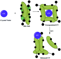 Encapsulation and release of non-fluorescent crystal violet confined in ...