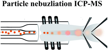 Analysis of rice and wheat flour by particle nebulization ICP-MS - RSC ...