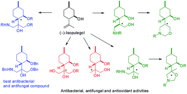 Stereoselective synthesis and application of isopulegol-based bi- and ...