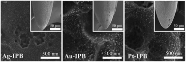 Noble metal sensitized invasive porous bioelectrodes: advanced medical ...