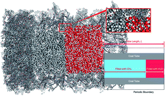 Coalbed methane diffusion and water blocking effects investigated by ...