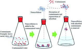 Nanocellulose: a bioadsorbent for chemical contaminant remediation ...