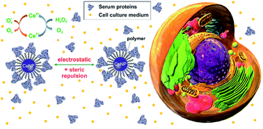 Colloidal stability and catalytic activity of cerium oxide ...