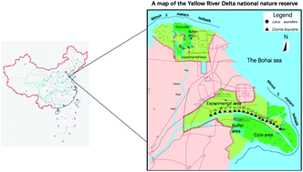 Yellow River Delta Map