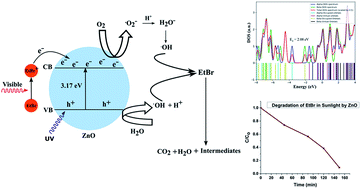 High aspect ZnO nanorod growth over electrodeposited tubes for ...