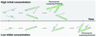 Quantifying genome DNA during whole-genome amplification via ...