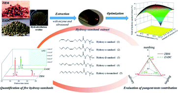 Ultrasound-assisted enzymatic extraction of hydroxy-sanshool compounds ...