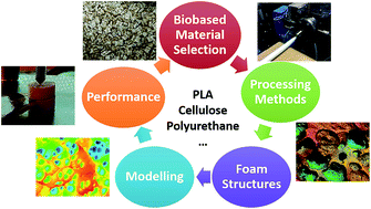 Biobased foams for thermal insulation: material selection, processing ...