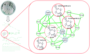 Applying molecular networking for targeted isolation of depsipeptides ...