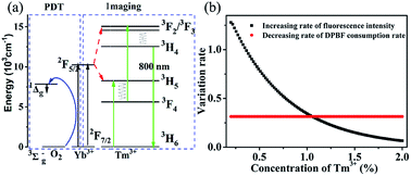 Optimal fluorescence and photosensitivity properties of dual-functional ...