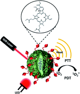 Nanoparticles with PDT and PTT synergistic properties working with dual ...