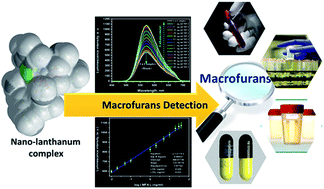 A novel nano-lanthanum complex: synthesis, characterization and ...
