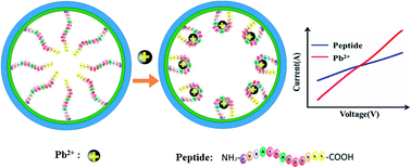 Nanochannel-based sensor for the detection of lead ions in traditional ...