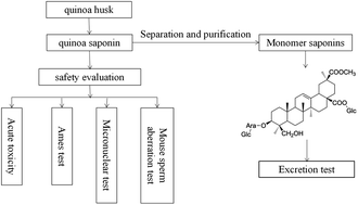 In vivo acute toxicity and mutagenic analysis of crude saponins from ...