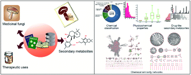 MeFSAT: a curated natural product database specific to secondary ...