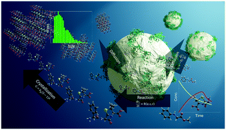Model development for enzymatic reactive crystallization of β-lactam ...