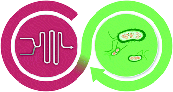 Concepts for flow chemistry with whole-cell biocatalysts - Reaction ...
