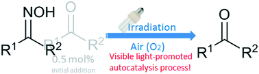 Autocatalytic deoximation reactions driven by visible light - Reaction ...