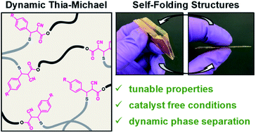 Dynamic reaction-induced phase separation in tunable, adaptive covalent ...