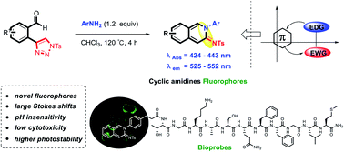 Efficient synthesis of cyclic amidine-based fluorophores via 6π ...