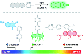 Tetrazine as a general phototrigger to turn on fluorophores - Chemical ...