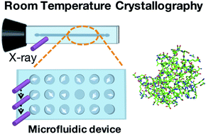 Room-temperature crystallography using a microfluidic protein crystal ...