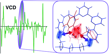 Vibrational circular dichroism spectroscopy for probing the expression ...