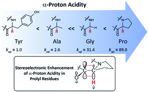Unusually high α-proton acidity of prolyl residues in cyclic peptides ...