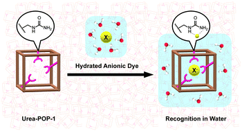 A neutral porous organic polymer host for the recognition of anionic ...