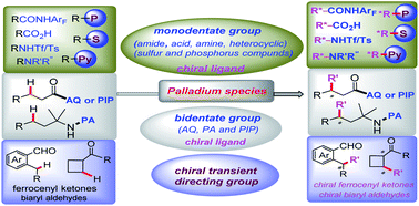 Palladium-catalyzed direct asymmetric C–H bond functionalization ...