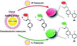 Construction of a chiral artificial enzyme used for enantioselective ...