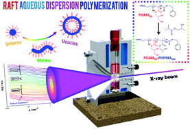 In situ SAXS studies of a prototypical RAFT aqueous dispersion polymerization formulation ...