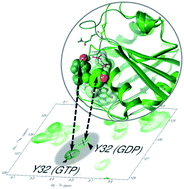 Structural impact of GTP binding on downstream KRAS signaling ...