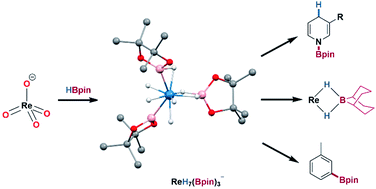 Synthesis and structures of anionic rhenium polyhydride complexes of ...