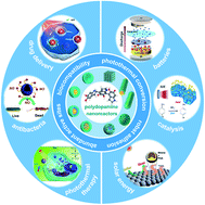 Polydopamine-based nanoreactors: synthesis and applications in ...