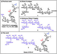 Chemical synthesis and immunological evaluation of entirely ...