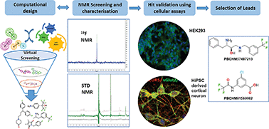 Amyloid binding and beyond: a new approach for Alzheimer's disease drug ...