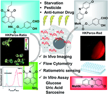 Fluorescent probes for in vitro and in vivo quantification of hydrogen ...