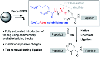 A straightforward methodology to overcome solubility challenges for N ...