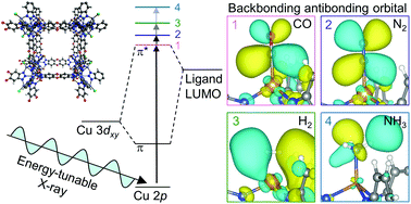 Backbonding contributions to small molecule chemisorption in a metal ...