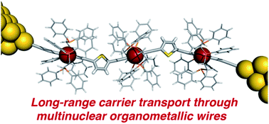 Single-molecule junctions of multinuclear organometallic wires: long ...