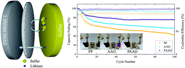 An organic–inorganic composite separator for preventing shuttle effect ...