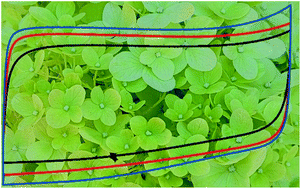 Synthesis of ultrahigh-surface-area nitrogen-doped porous carbon materials from carboxymethyl ...