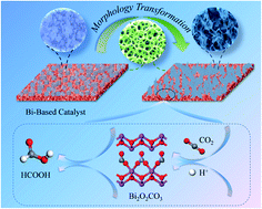 The in situ morphology transformation of bismuth-based catalysts for ...