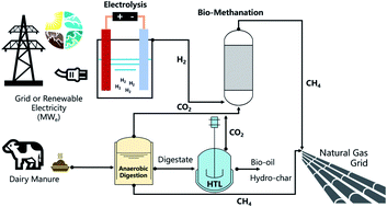 Integrating anaerobic digestion, hydrothermal liquefaction, and ...