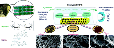 The impact of carbonate salts on char formation and gas evolution ...