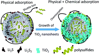 Hollow C@TiO2 array nanospheres as efficient sulfur hosts for lithium ...