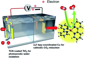 Photoelectrochemical conversion of CO2 into HCOOH using a polymeric ...