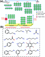 Role of the spacer cation in the growth and crystal orientation of two ...