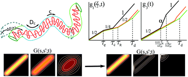 Dynamics of entangled polymers subjected to reptation and drift - Soft Matter (RSC Publishing)